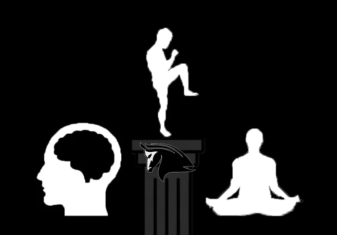 Digital Programs – Stampede Network