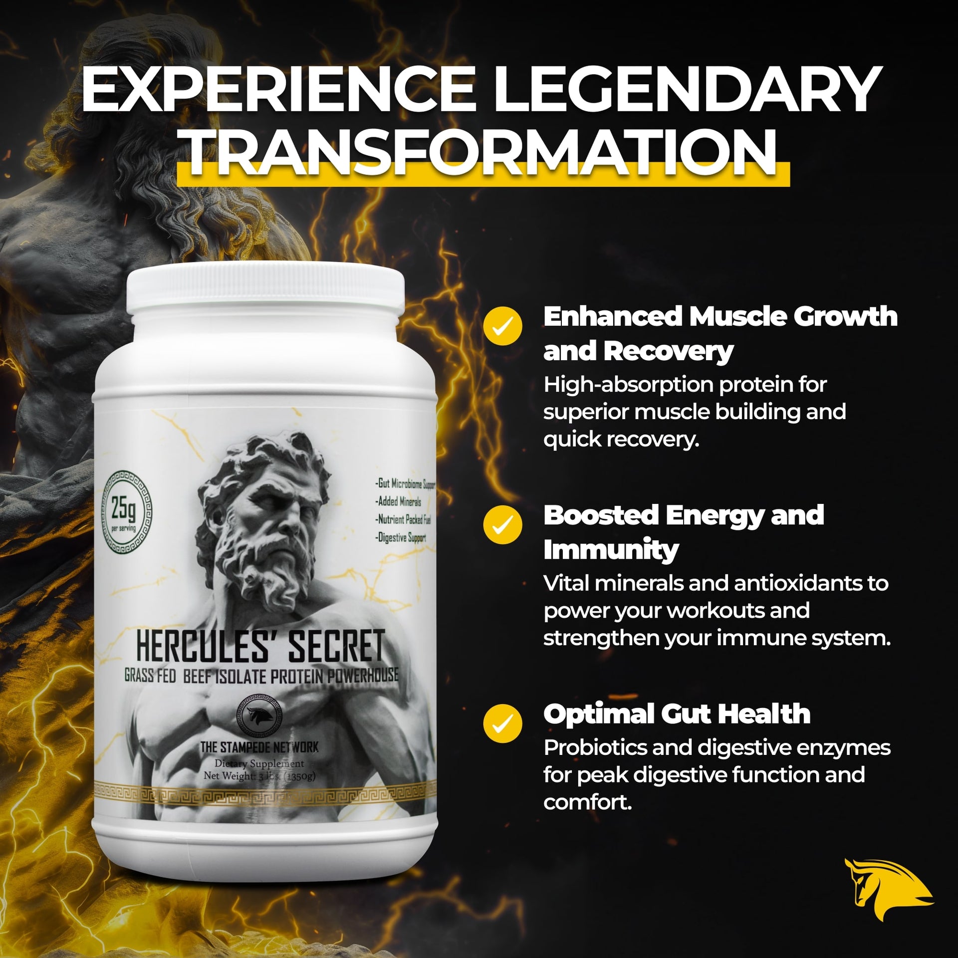 The Stampede Network