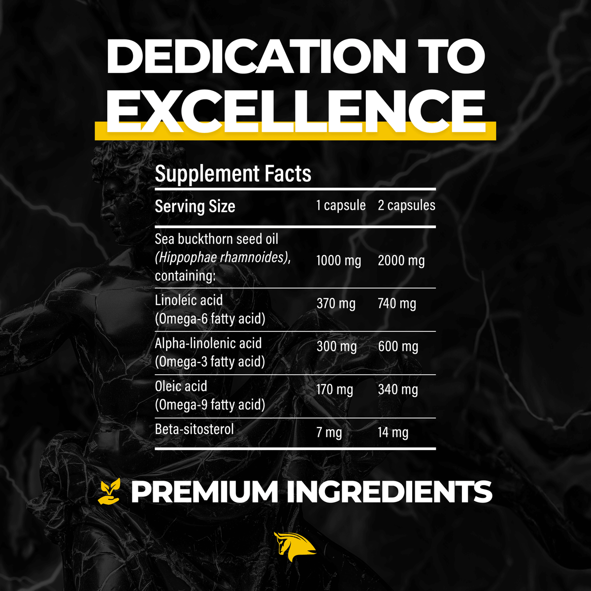 The Stampede Network