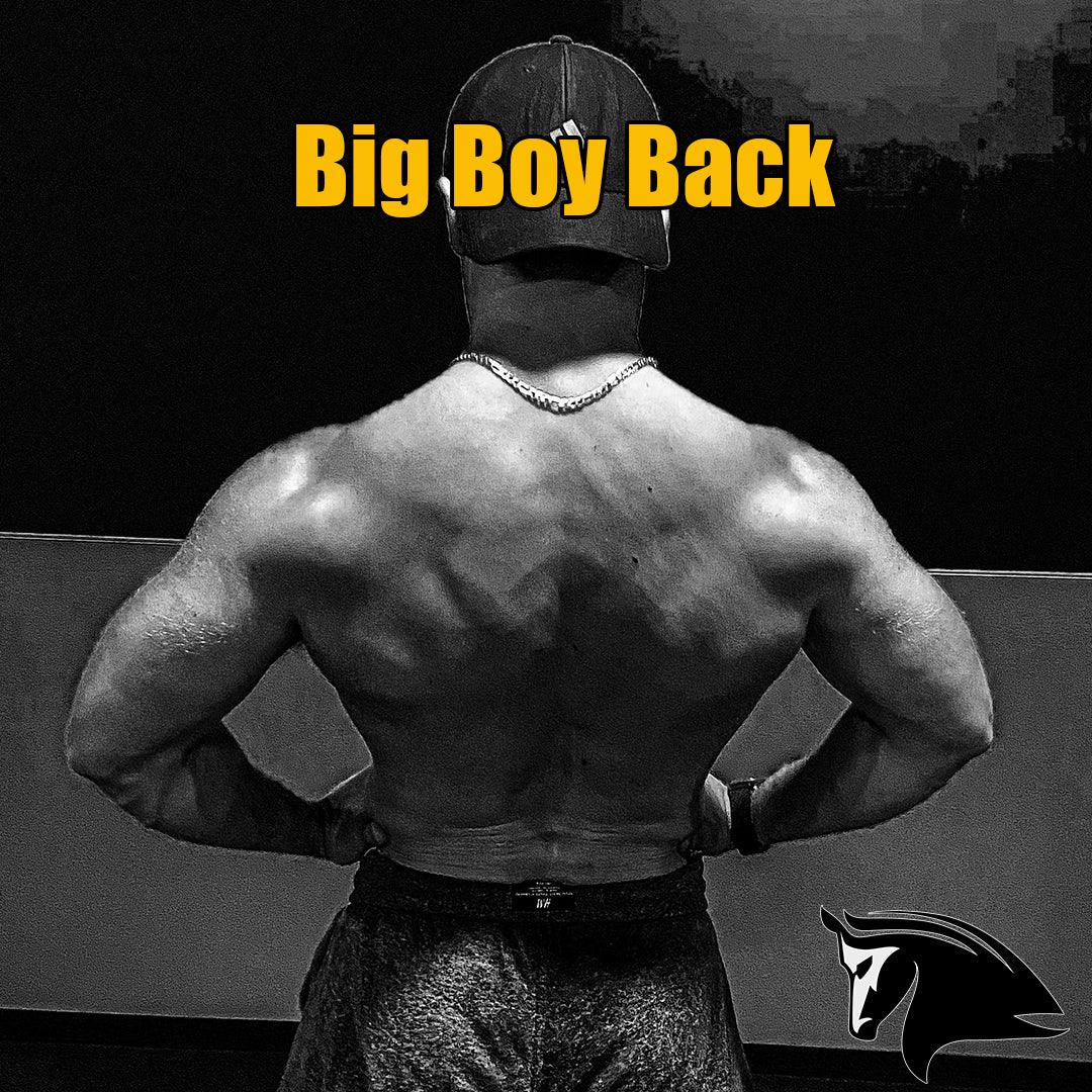 Big Boy Back – Stampede Network