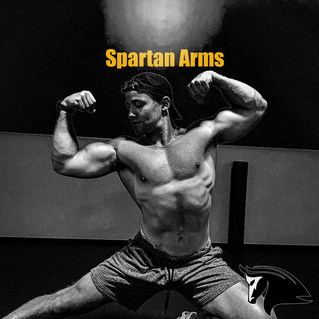 Spartan Arms – Stampede Network